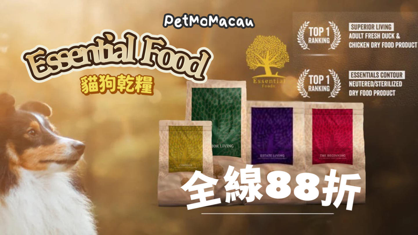 PetMo Macau澳門線上寵物店 🇺🇸 🇦🇺 🇨🇦 🇬🇧 🇮🇹 🇳🇿 🇯🇵 🇫🇷 🇹🇼